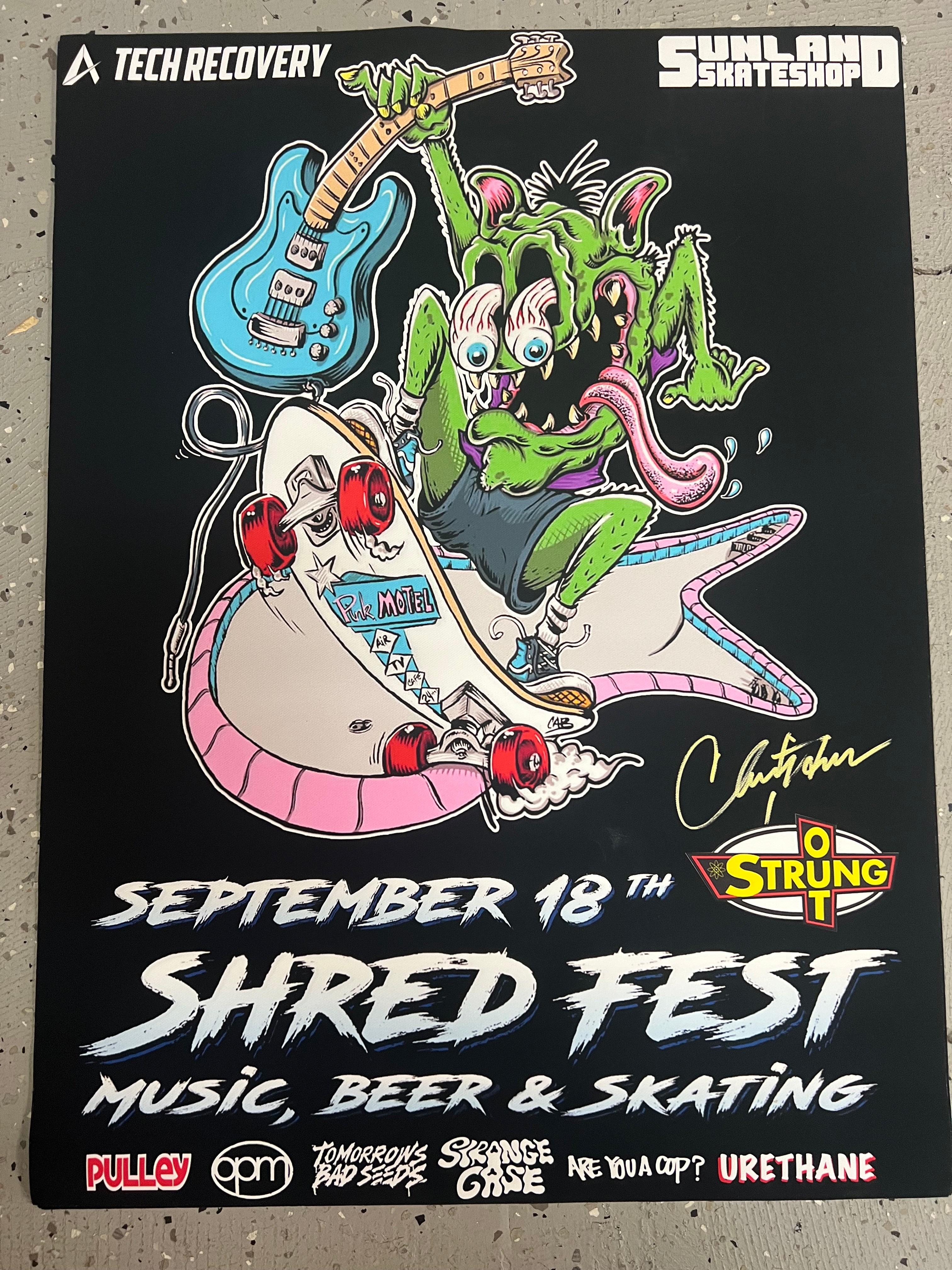 Hosoi autograph Shred Fest Steve Caballero Art Canvas 18x24 (Limited E ...